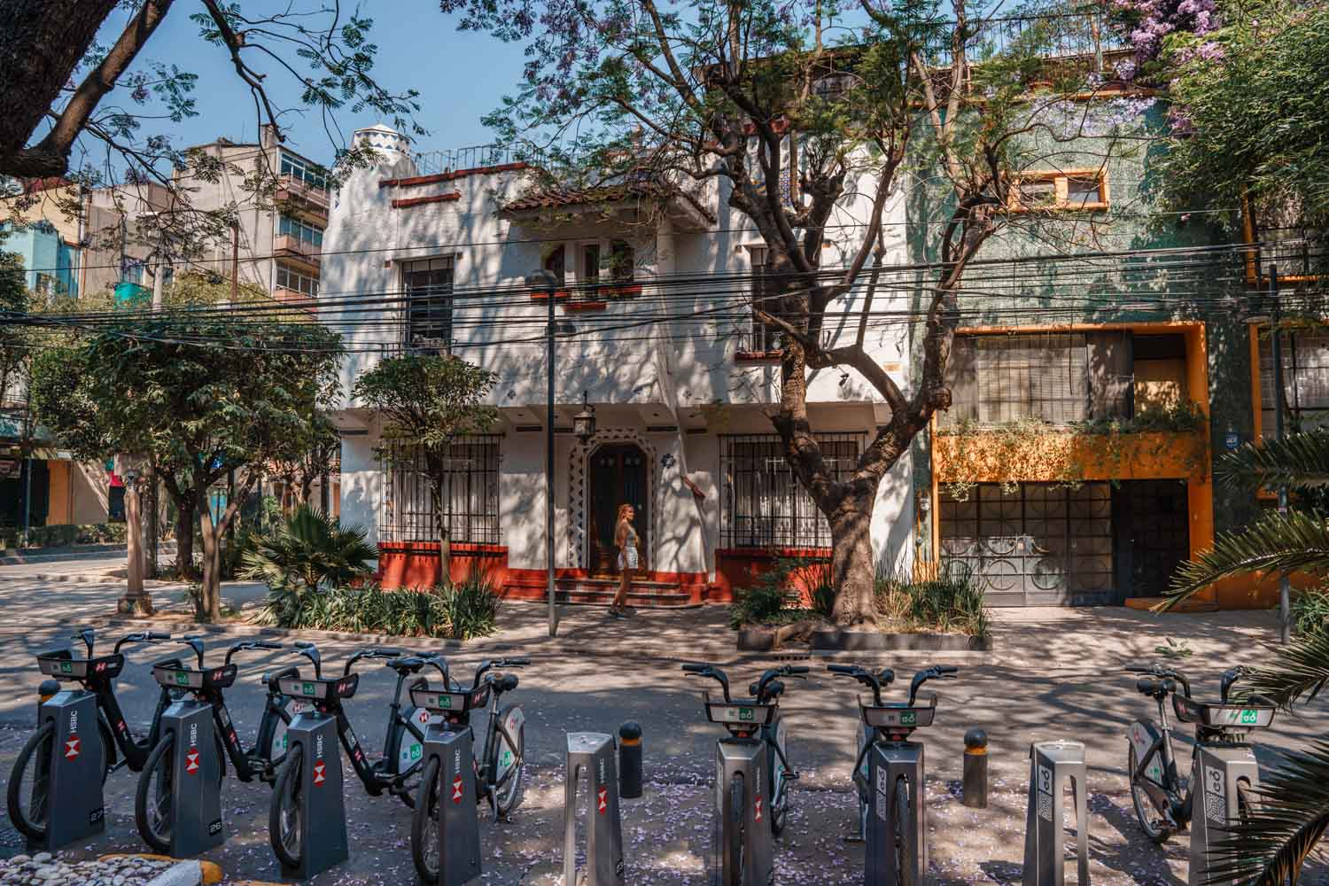 15 Best Restaurants in Condesa Mexico City: Where to Eat in 2026